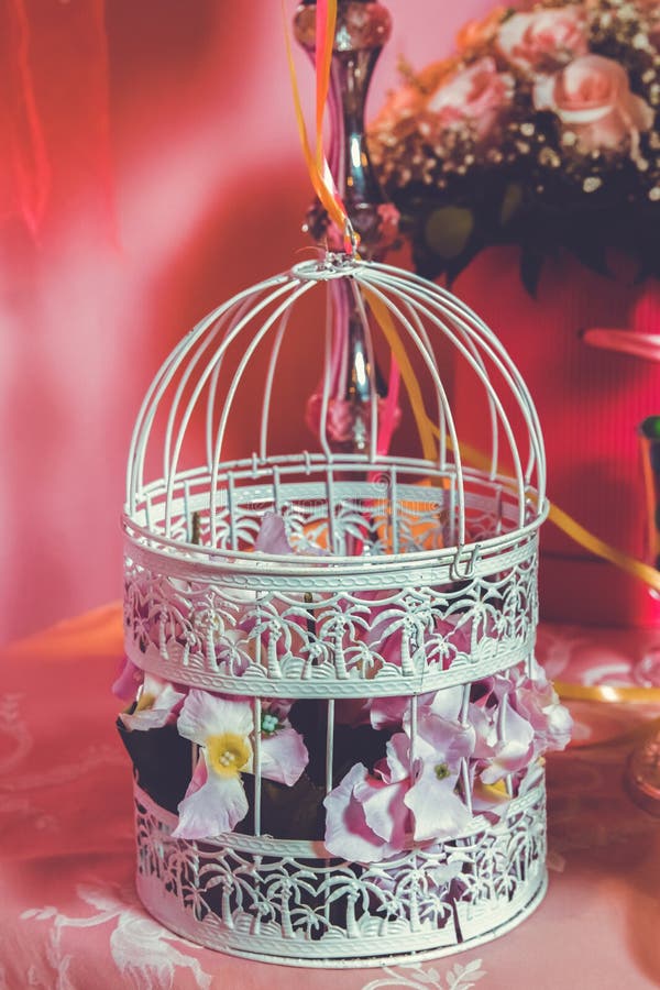 Decorative White Bird Cage Full of Pink Roses. Candy Bar Stock Image ...