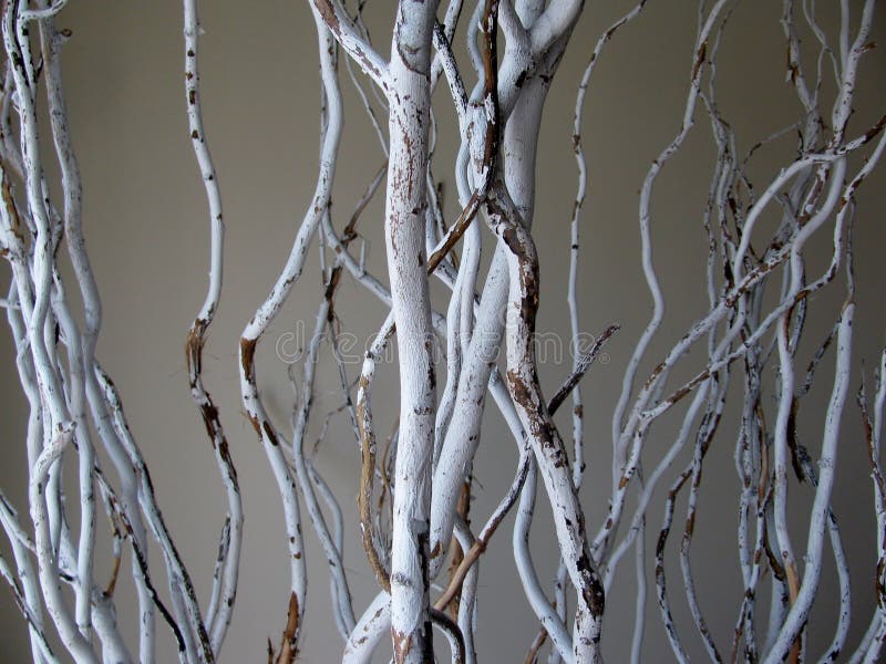 Decorative White Branches Background Stock Photo - Image of wood ...