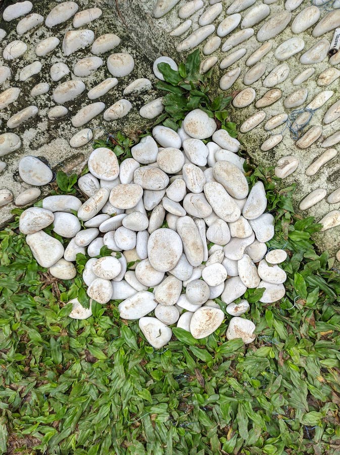 Decorative White Pebbles To Beautify the Garden in Front of the House ...
