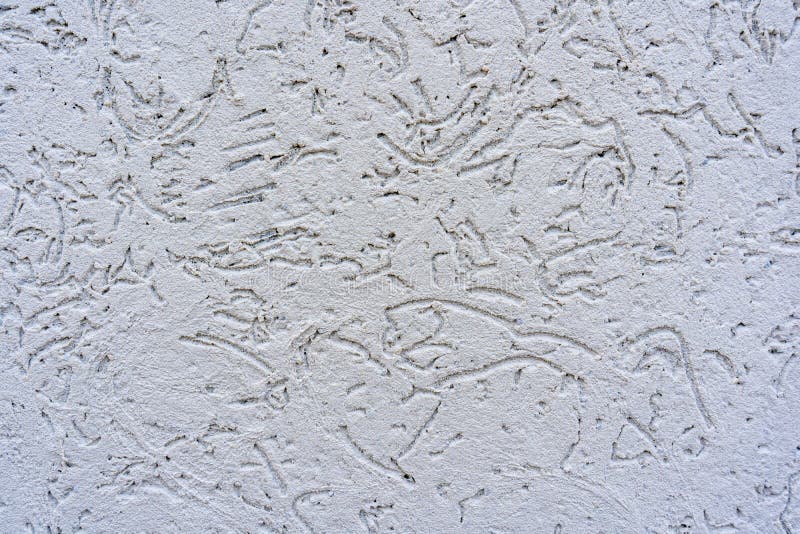 Decorative White Wall Plaster Pattern Stylized in Bark Beetle Texture ...