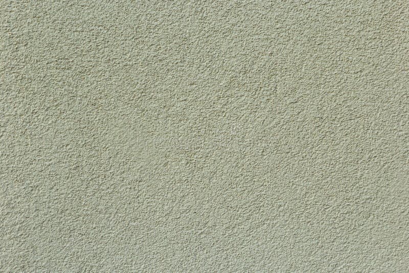 Decorative White Wall Plaster Pattern Stylized in Bark Beetle Texture ...