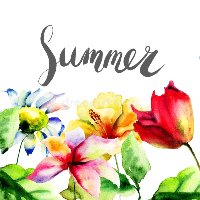 Decorative Wild Flowers with Title Summer Stock Illustration ...