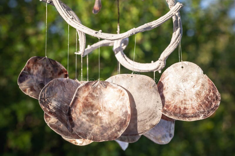 Decorative Wind Chime Made of Big Flat Shells Stock Photo - Image of ...