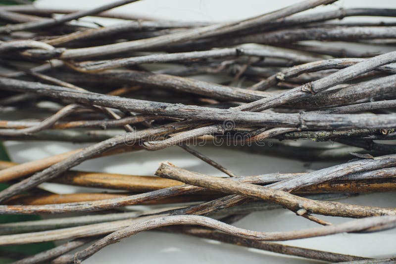 Decorative Wood Branches Top View on White Background Stock Image ...