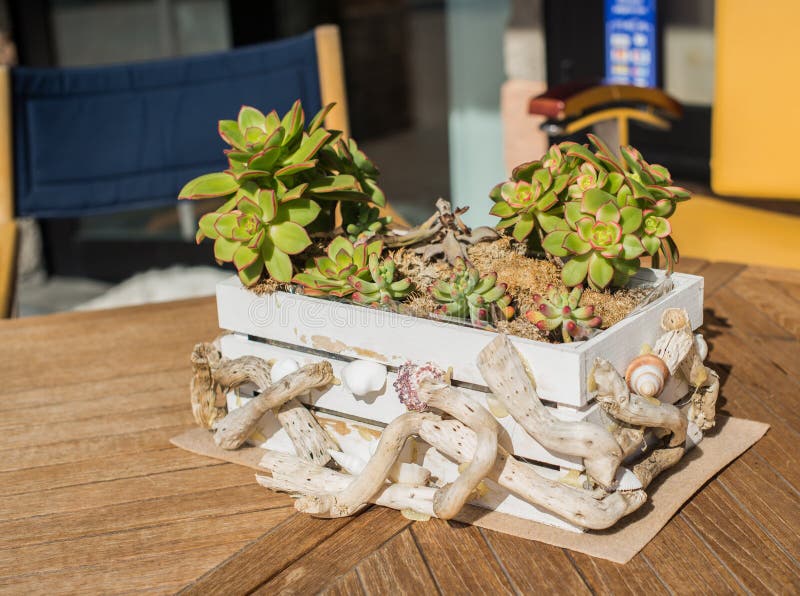 Decorative Wooden Flower Box on the Table in the Restaurant Stock Image ...