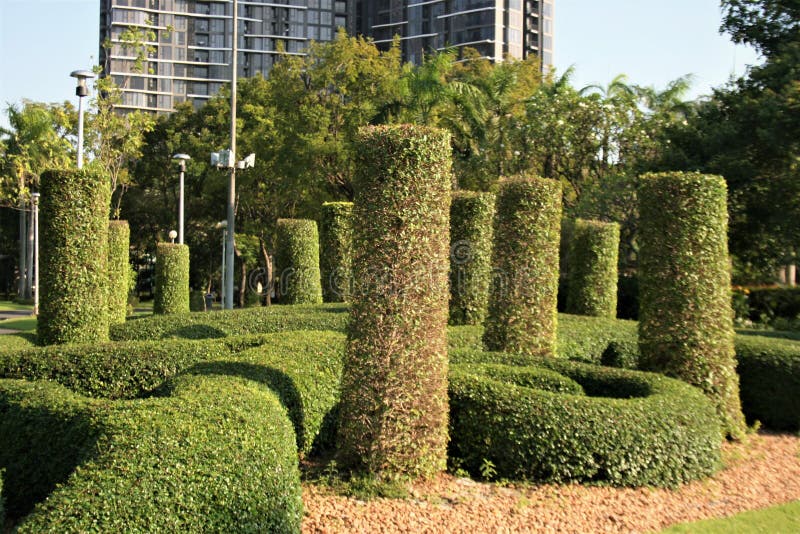 Decorative Wrought Iron Tree in Garden Thailand Stock Image - Image of ...