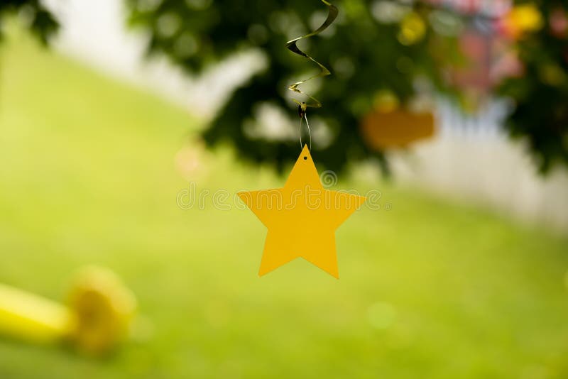 Decorative Yellow Star on a Tree in the Garden. Stock Image - Image of ...