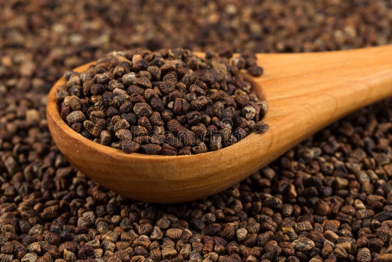 Decorticated Cardamom Seeds Stock Image - Image of seeds, horizontal ...