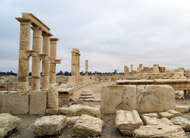 The Decumanus at Palmyra, Syria Stock Photo - Image of oasis, palmyra ...