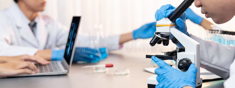 Scientist Working on Biotechnology Computer Software To Study DNA ...
