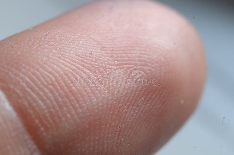 Conceito Da Impressão Digital De Digitas Imagem de Stock - Imagem de ...