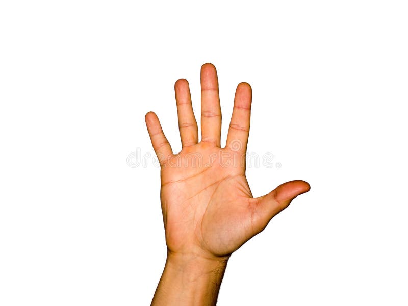 Dedos [5] foto de stock. Imagem de isolado, cinco, idéia - 313286