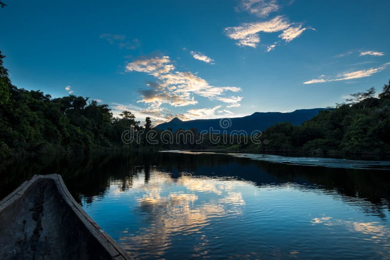 Deep in the Amazon Jungle stock photo. Image of south - 97421424