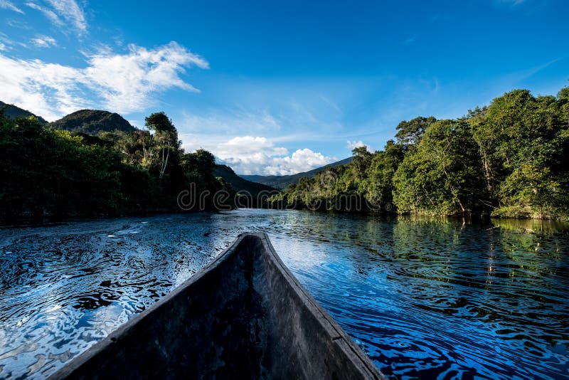 Deep in the Amazon Jungle stock photo. Image of south - 97421424
