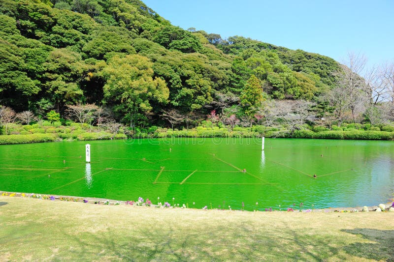 Deep Azure Thermal Hot Pond Stock Photo - Image of hell, geothermal ...