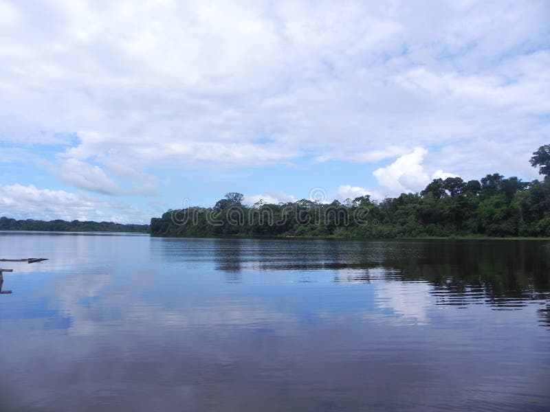 A Deep Blu Sky Over an Amazon Lake Stock Photo - Image of lake, tropics ...