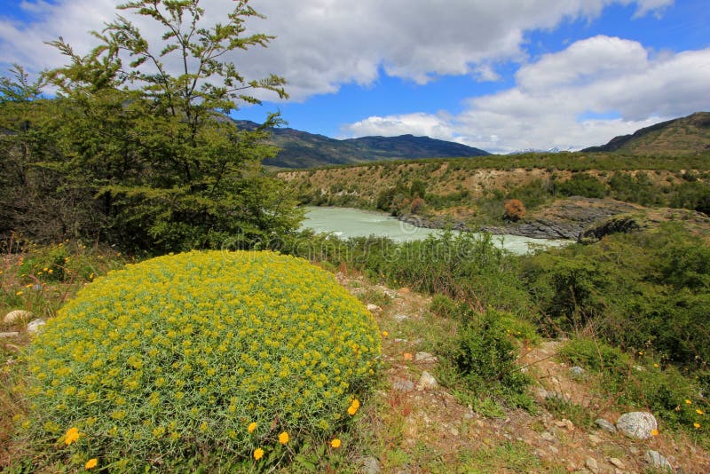 Deep Blue Baker River, Carretera Austral, Chile Stock Photo - Image of ...