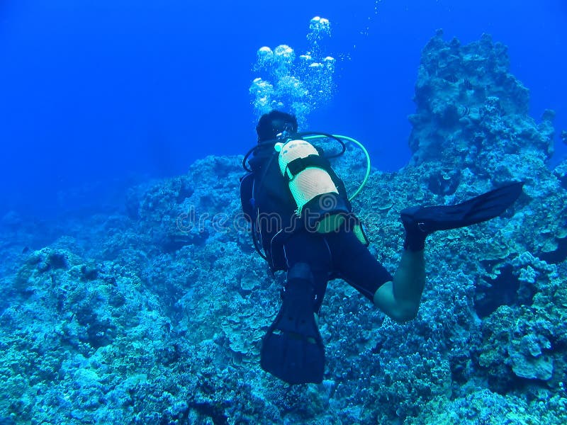 Deep blue diving stock photo. Image of sport, diver, nature - 6757896