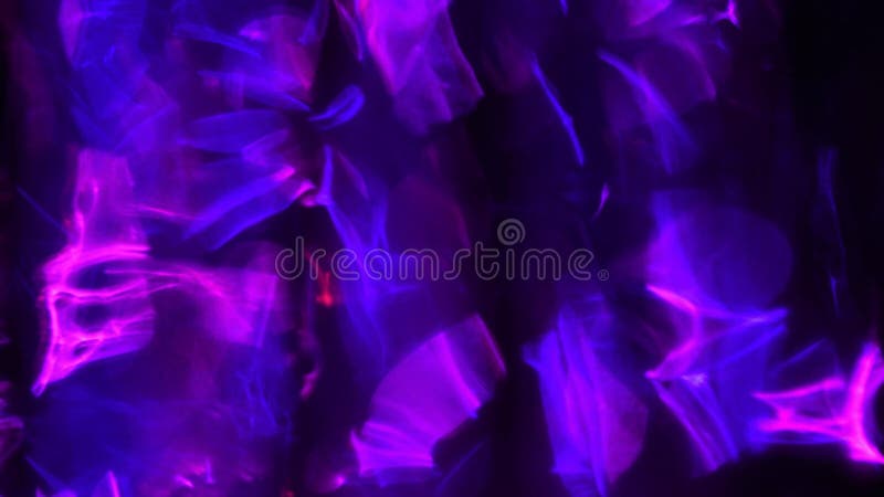 Deep Blue, Hot Pink and Vibrant Purple Abstract Neon Digital Electro ...