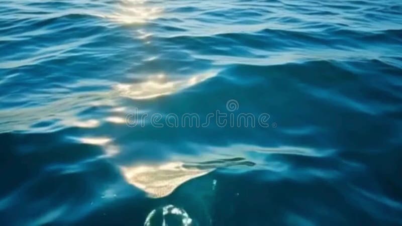 Deep Blue Ocean Surface with Sun Reflection Stock Video - Video of surf, travel: 376745495