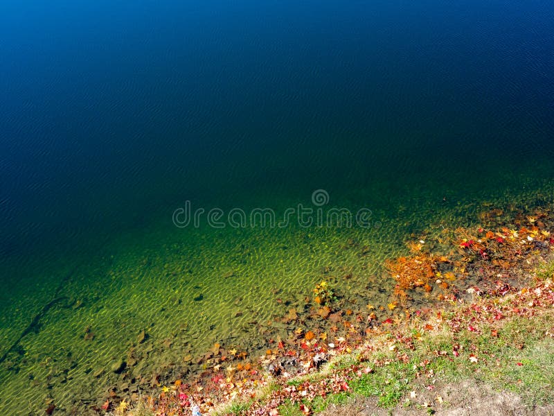 Deep Blue Pond Water and Ripples Stock Photo - Image of shore, angle ...