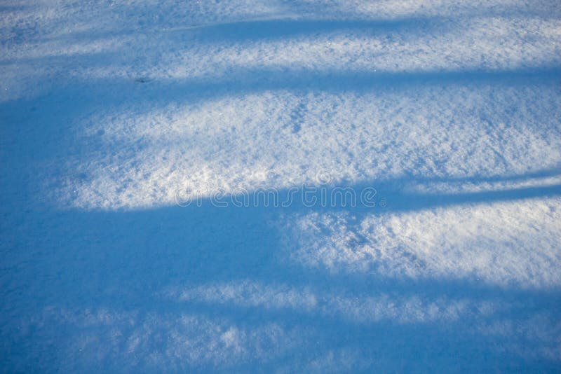 Blue shadows on the snow stock photo. Image of winter - 136724846