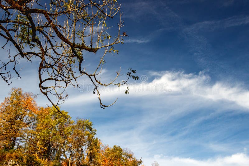 Deep Blue Sky with Clouds and Colorful Autumn Trees Stock Photo - Image ...