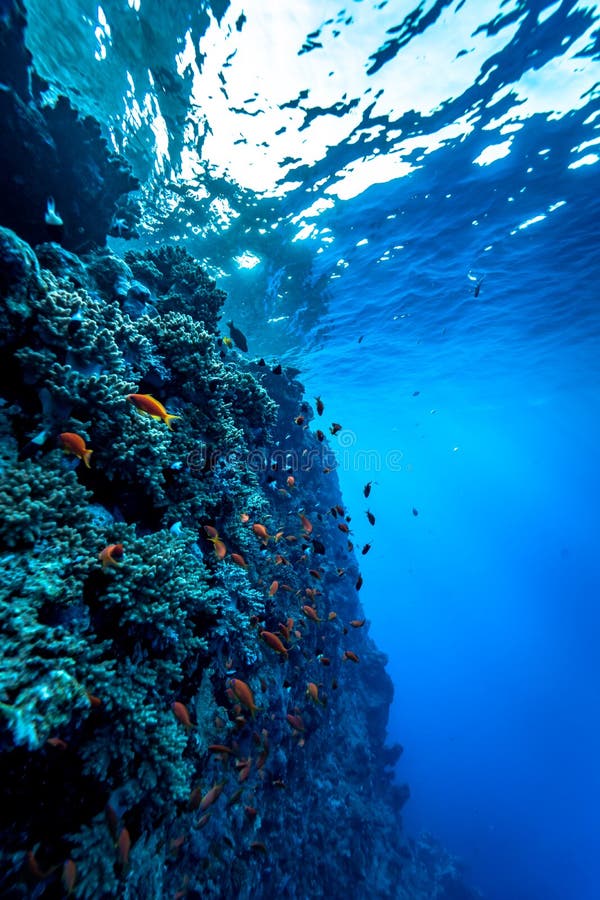 The Deep Blue Water of the Red Sea. Stock Photo - Image of beautiful ...