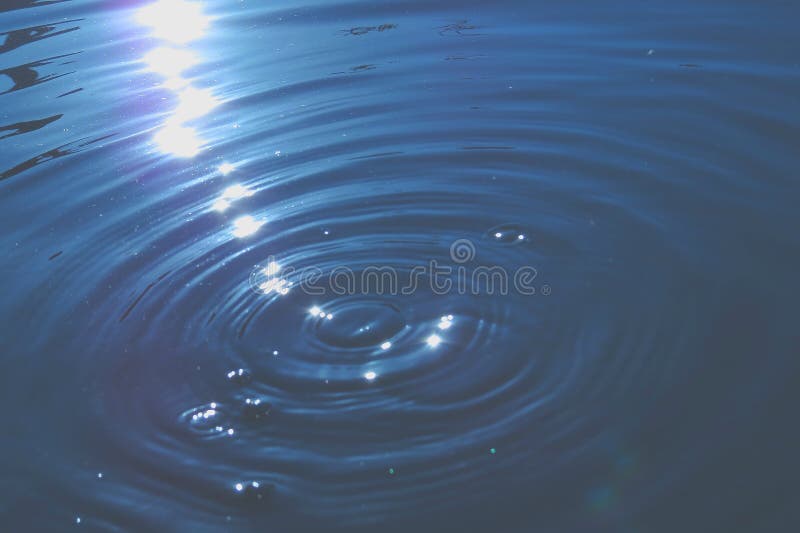 Deep Blue stock image. Image of canon, macro, blue, pettles - 51178511