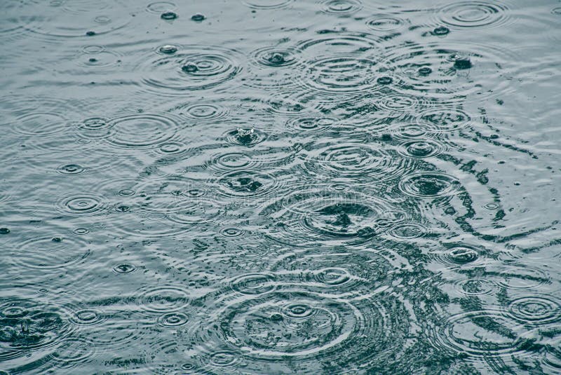Rain Drops Creating Circles in the Water Stock Photo - Image of floor ...