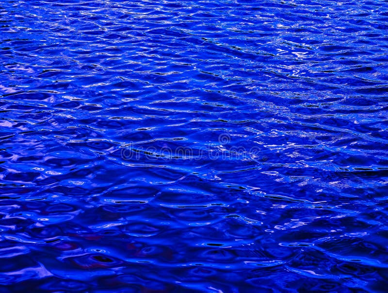 Wallpapers Monster High Draculaura Stock Photos - Free & Royalty-Free ...