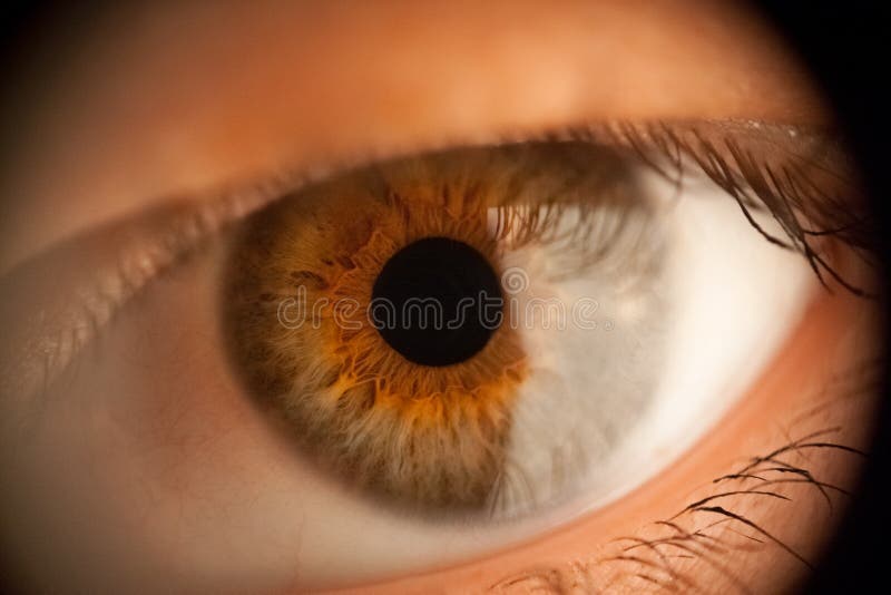 The Deep Brown Close Up Eye of the Girl is Looking Forward Stock Photo ...