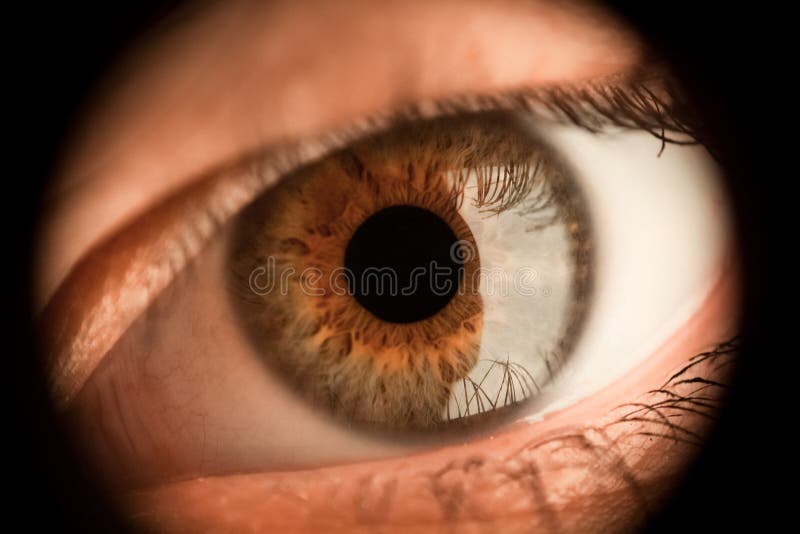 The Deep Brown Close Up Eye of the Girl is Looking Forward Stock Image ...