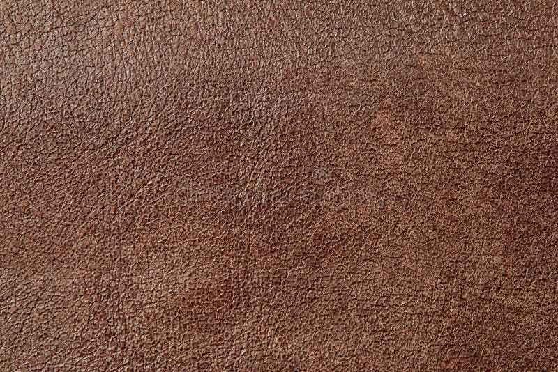 Deep Brown Leather Texture. Skin Pattern Background Stock Photo - Image ...