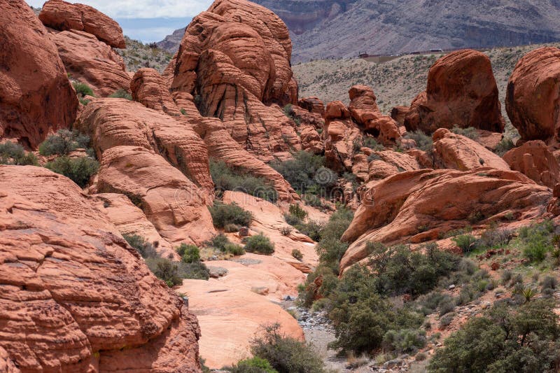 Deep in a Canyon of Red Rocks, with Greenery Poking through Stock Photo ...