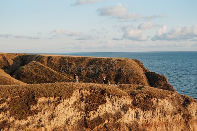 Deep clay canyon overgrown stock photo. Image of overgrown - 234097390