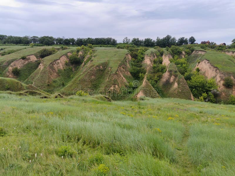 A Deep Clay Ravine Formed by Erosion by a Water Stream. Soil Erosion ...