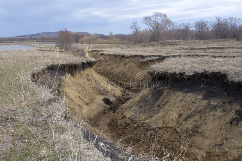Deep Clay Ravine, Gully. Water Erosion of the Soil Stock Image - Image ...