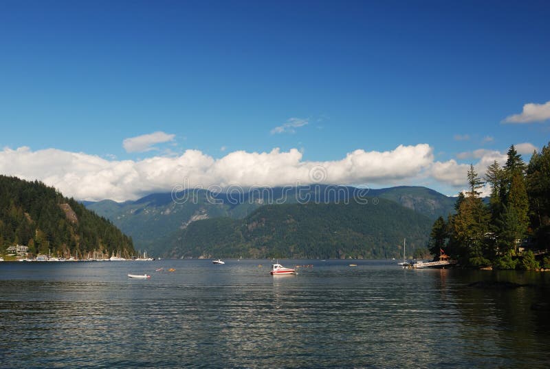 Deep Cove Picture. Image: 3253520