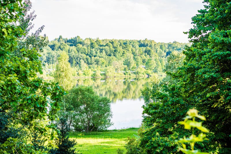 Deep Dark Forest Lake with Reflections of Trees and Green Foliage Stock ...