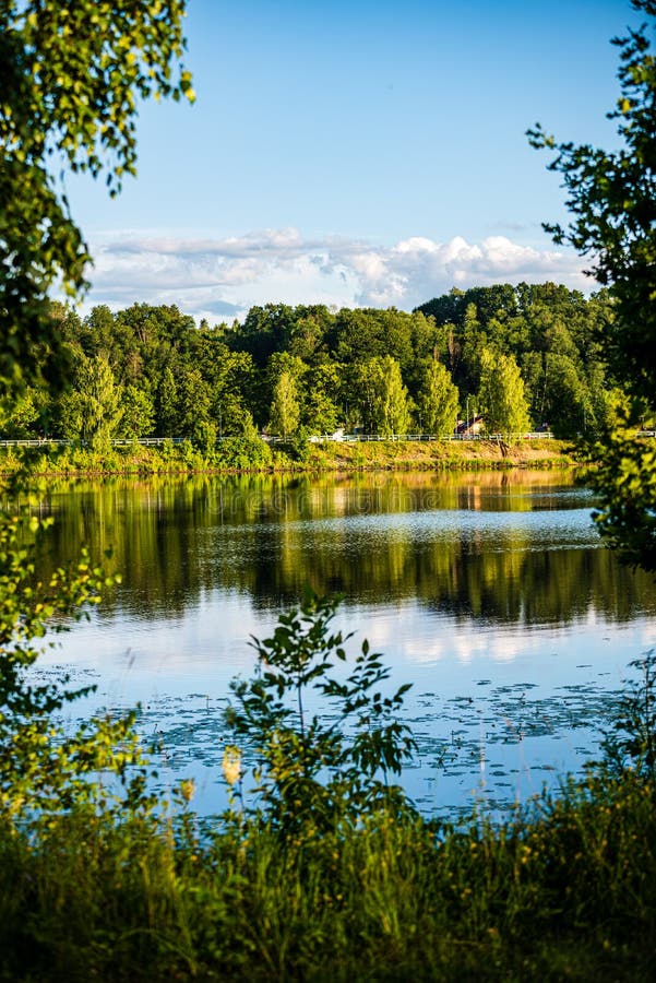Deep Dark Forest Lake with Reflections of Trees and Green Foliage Stock ...