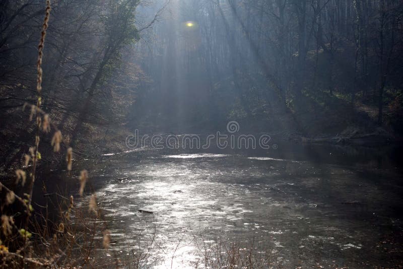 Deep in the Darkness of the Forest Stock Photo - Image of view, scene ...