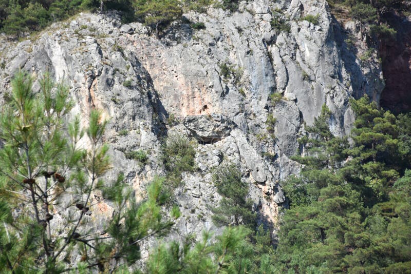 Deep Fall on a Rocky Mountain with Rocks on the Background Stock Photo ...