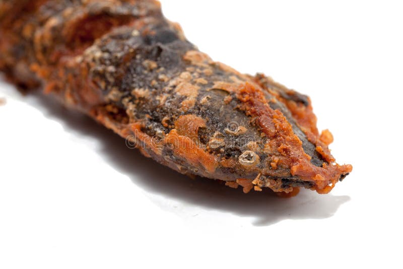 Deep Fired Catfish Isolated on White Stock Photo - Image of background ...