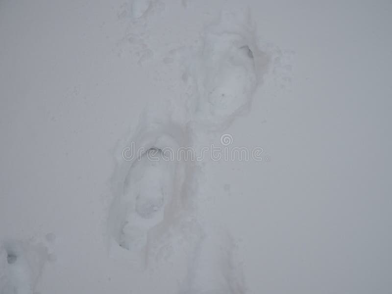 Deep Foot Print on the Snow, Winer Day Stock Photo - Image of footstep ...