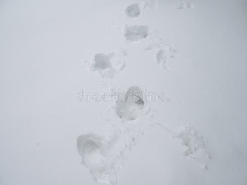 Deep Foot Print on the Snow, Winer Day Stock Photo - Image of footstep ...