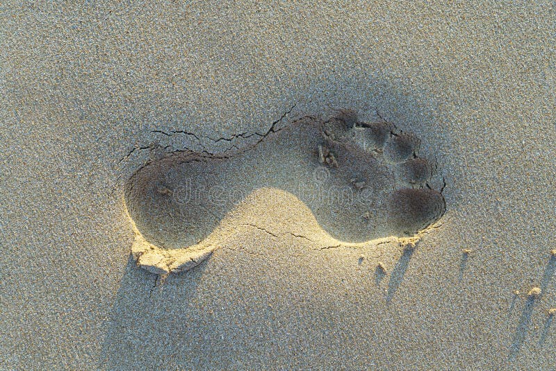 Deep Footprint of a Man in the Sand Stock Image - Image of alone ...