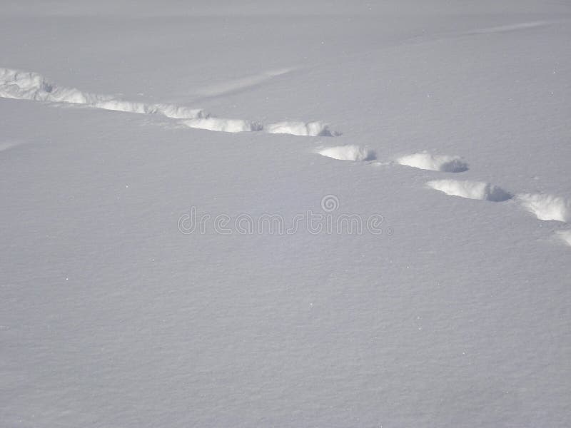 Deep Footsteps on Even Snow Surface Stock Photo - Image of plain, cold ...