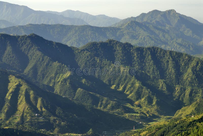 Deep Forest in All Over Mountain Ranges Stock Image - Image of himal ...