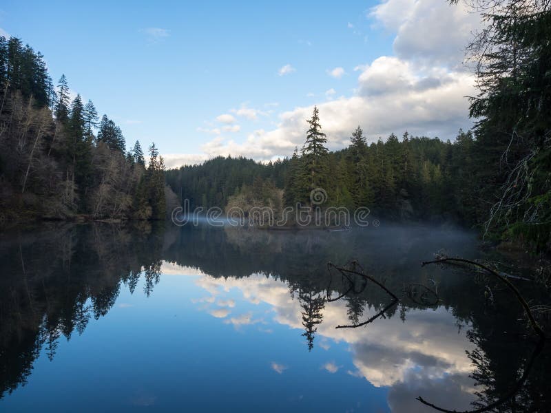 Deep Forest Lake stock photo. Image of reflection, last - 91526378